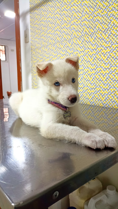 PET TIME - Guayaquil - Veterinarias Ecuador