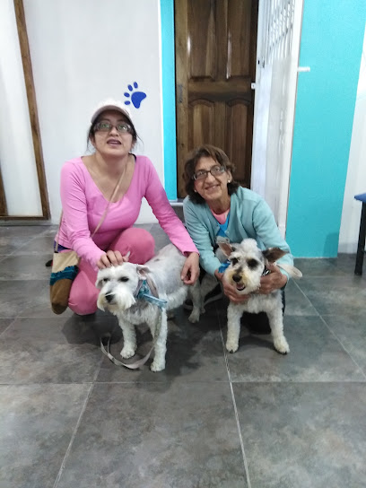 Bienvenidos a VeterinariasEcuador.com - El Mejor Directorio de Veterinarias en Ecuador ...